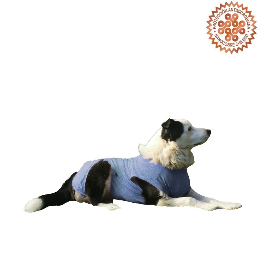 Body azul con nano cobre para perros