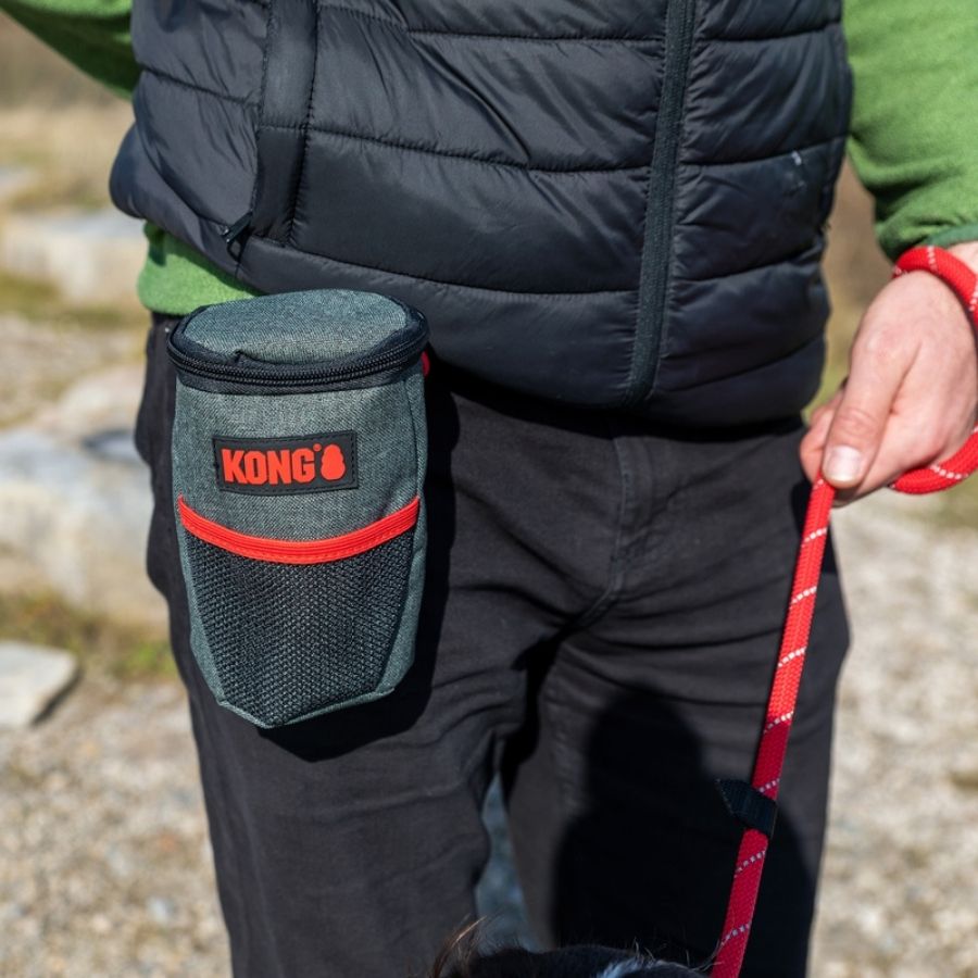 Kong pick-up pouch