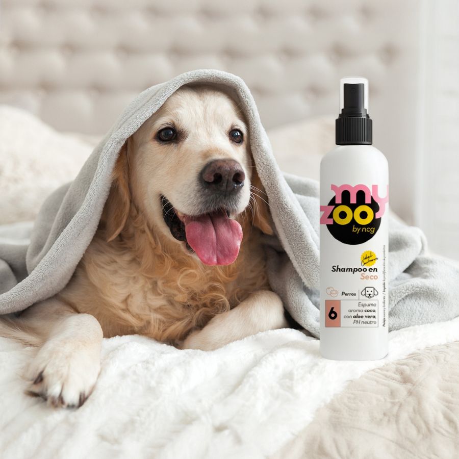 My Zoo Shampoo Seco Espuma Perro Coco Aloe Vera 250CC